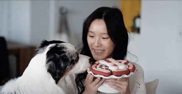 6 Stories That Celebrate The Love Between Dogs And Their Humans – Wufers